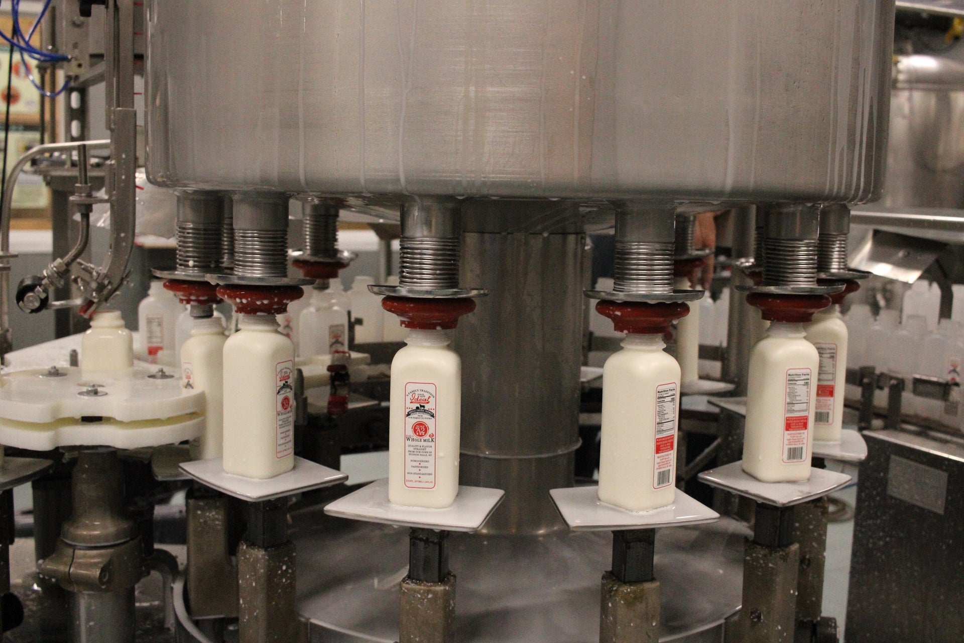 Argyle Cheese Farmer